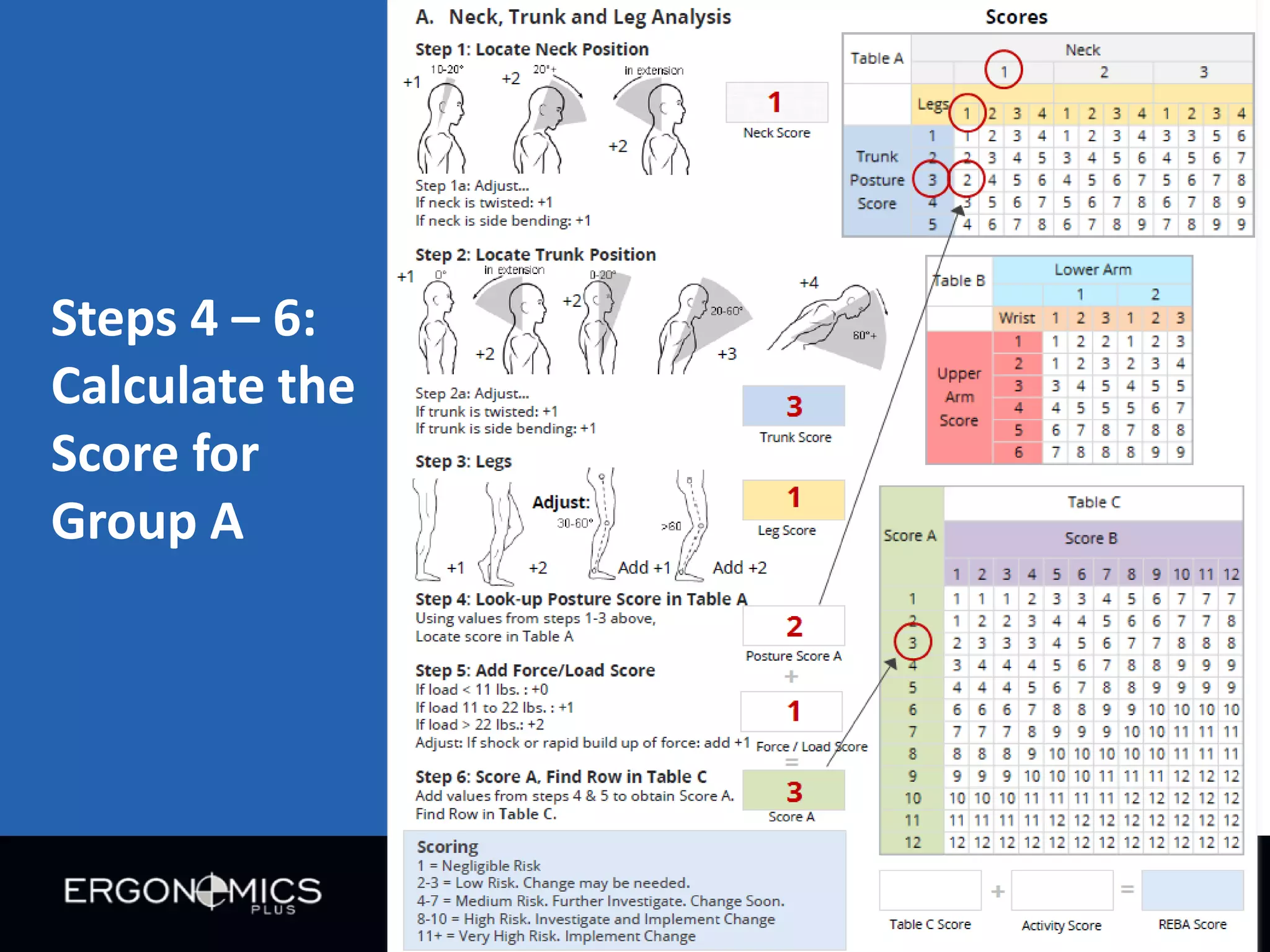 REBA - Rapid Entire Body Assessment | PDF