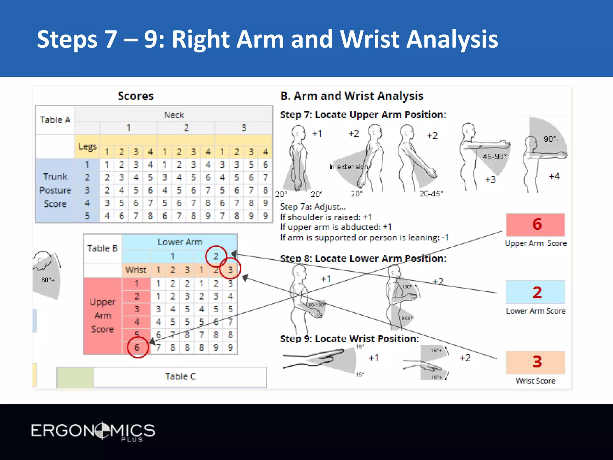 REBA - Rapid Entire Body Assessment | PDF