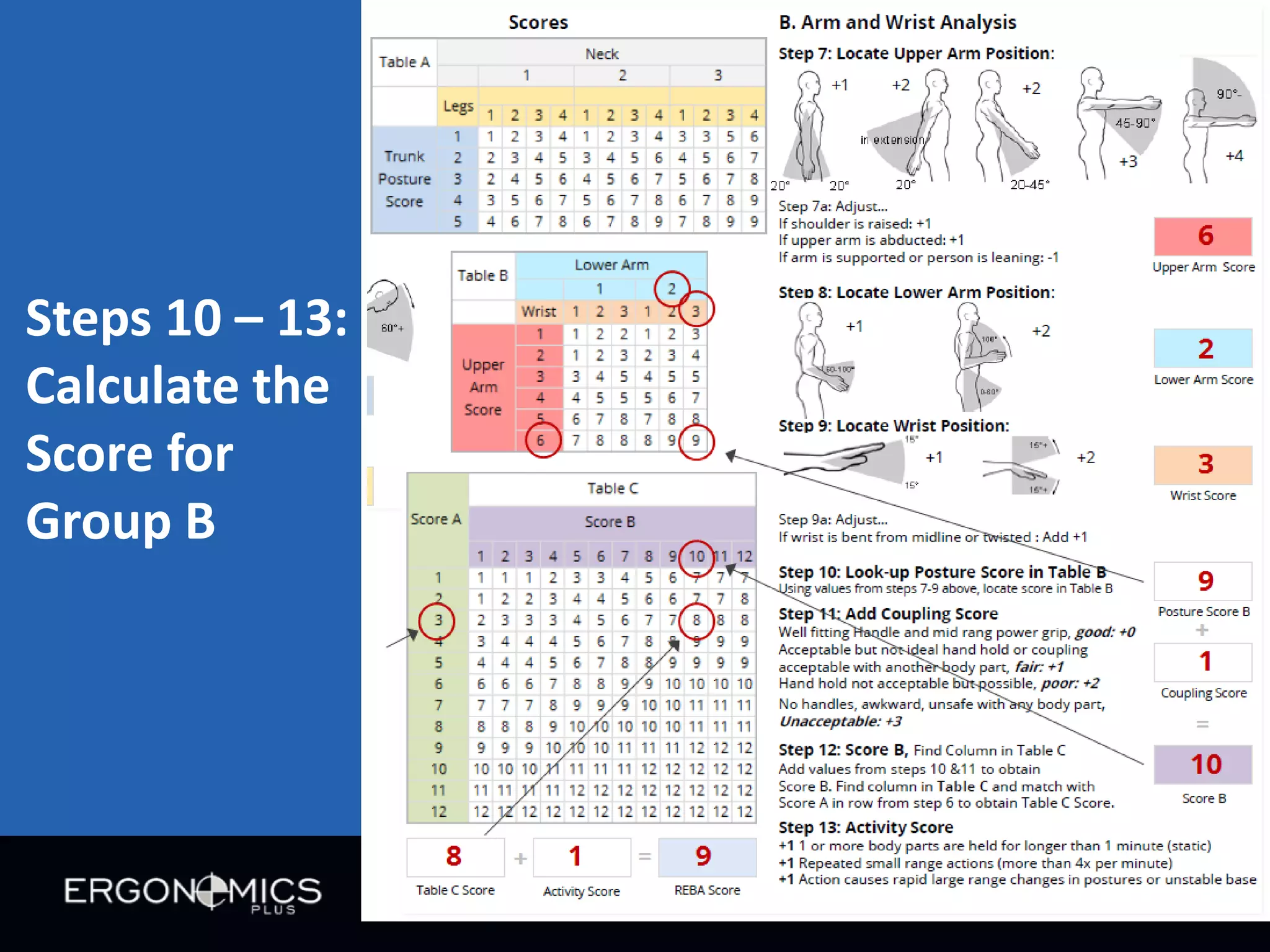 REBA - Rapid Entire Body Assessment | PDF