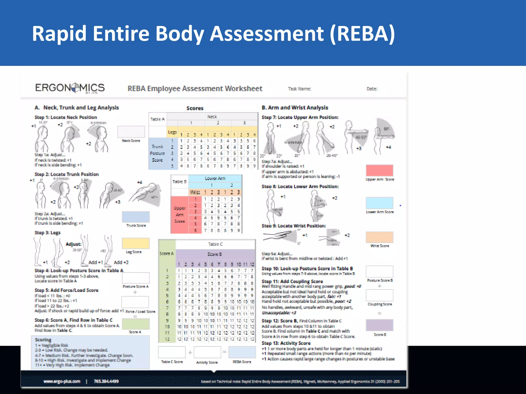 REBA - Rapid Entire Body Assessment | PDF