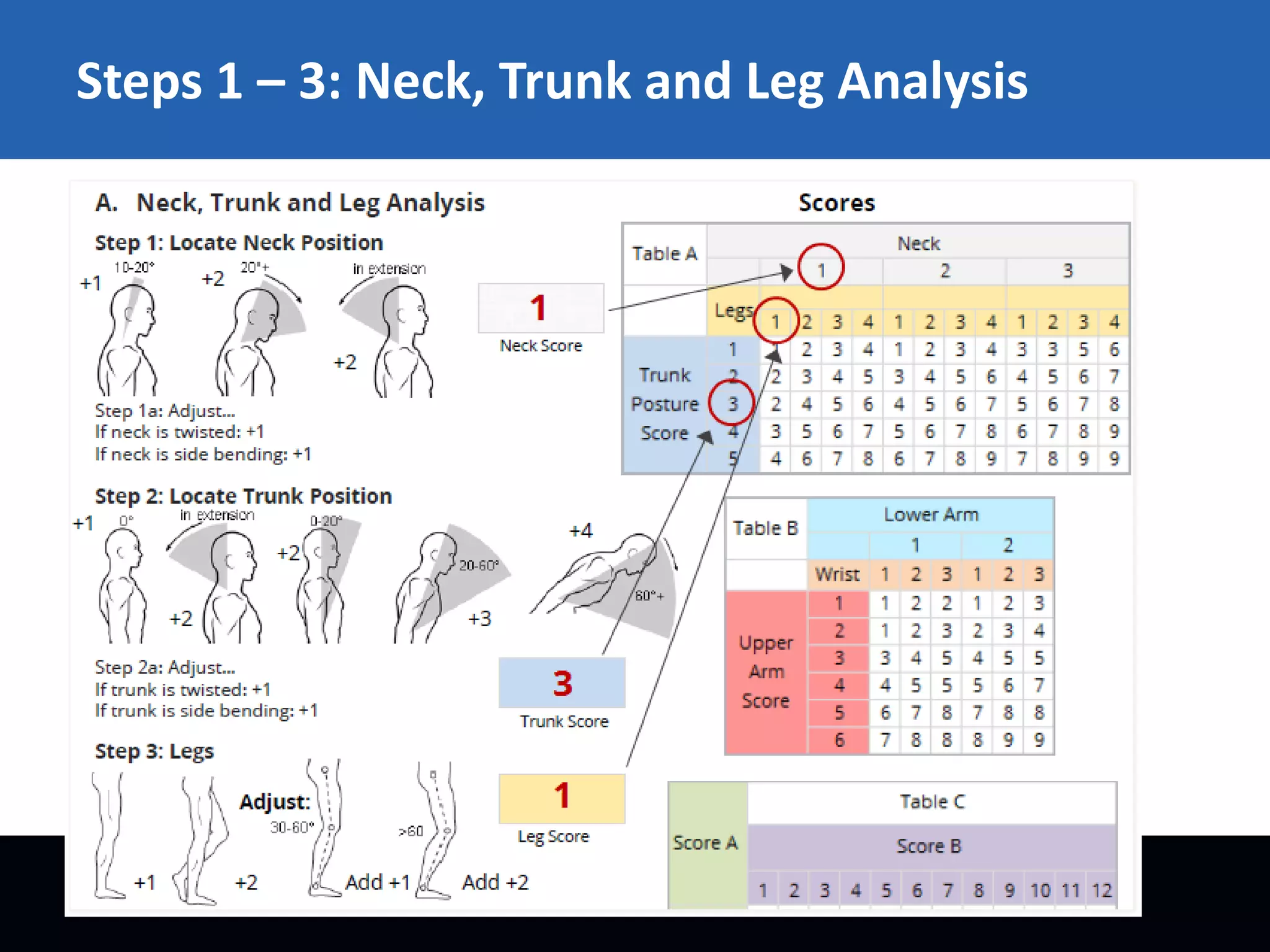 REBA - Rapid Entire Body Assessment | PDF