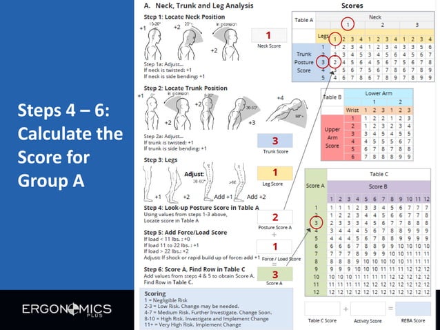 REBA - Rapid Entire Body Assessment | PDF