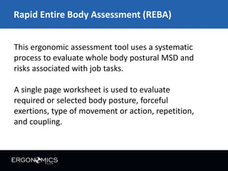 REBA - Rapid Entire Body Assessment | PDF