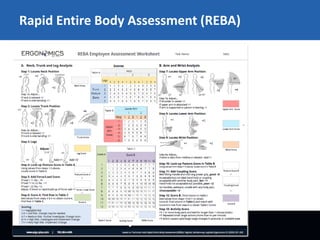 REBA - Rapid Entire Body Assessment | PDF