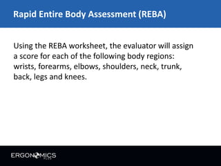 Reba Ergonomics