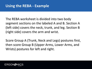 Reba Ergonomics
