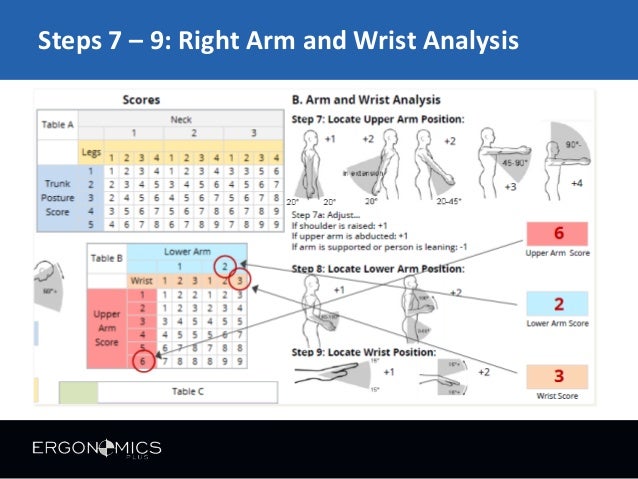REBA - Rapid Entire Body Assessment