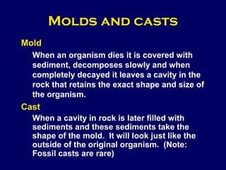 LSUMNS fossil types | PPT