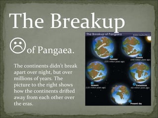 The Theory of Pangaea by :Rebecca | PPT