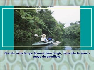 Rebeldia | PPT