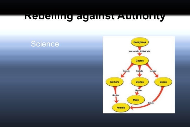 Rebelling Against Authority