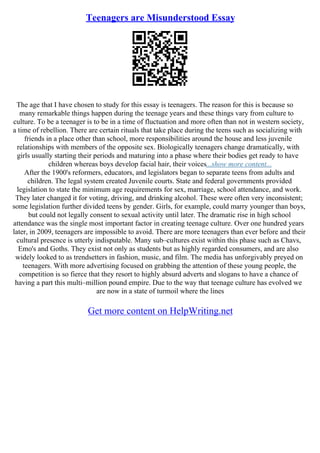 Rebellious Teenager Essay | PDF