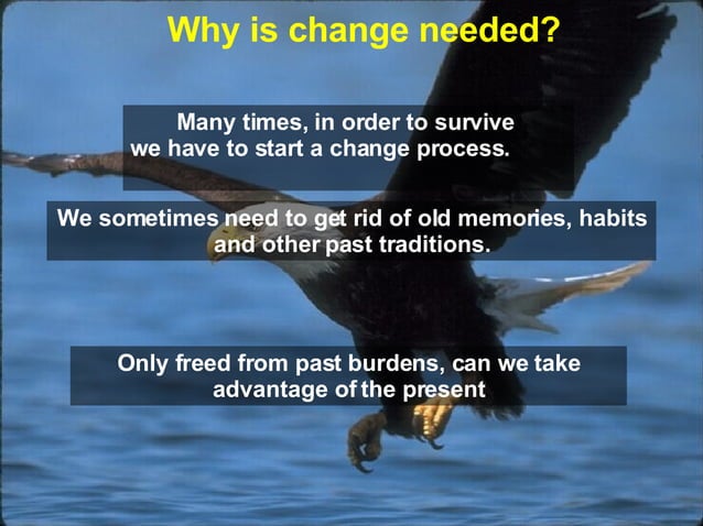 Rebirth Of An Eagle | PPS