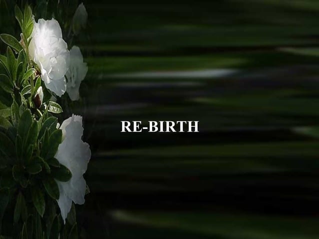 Rebirth Ppt | PPT