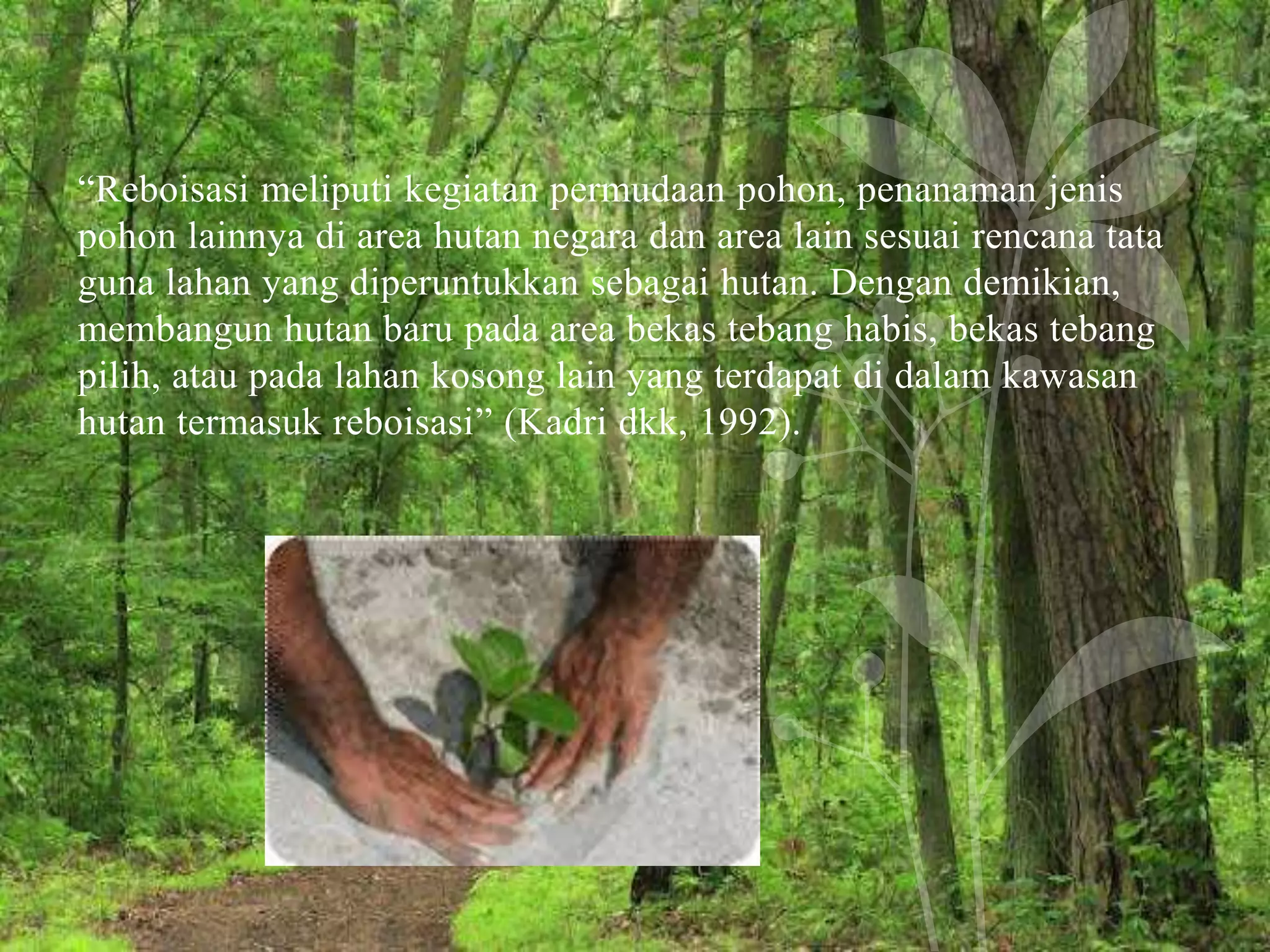 Reboisasi hutan | PPTX