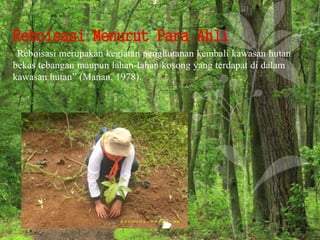 Reboisasi hutan | PPTX