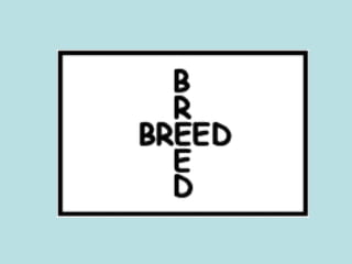 rebus-puzzles.ppt