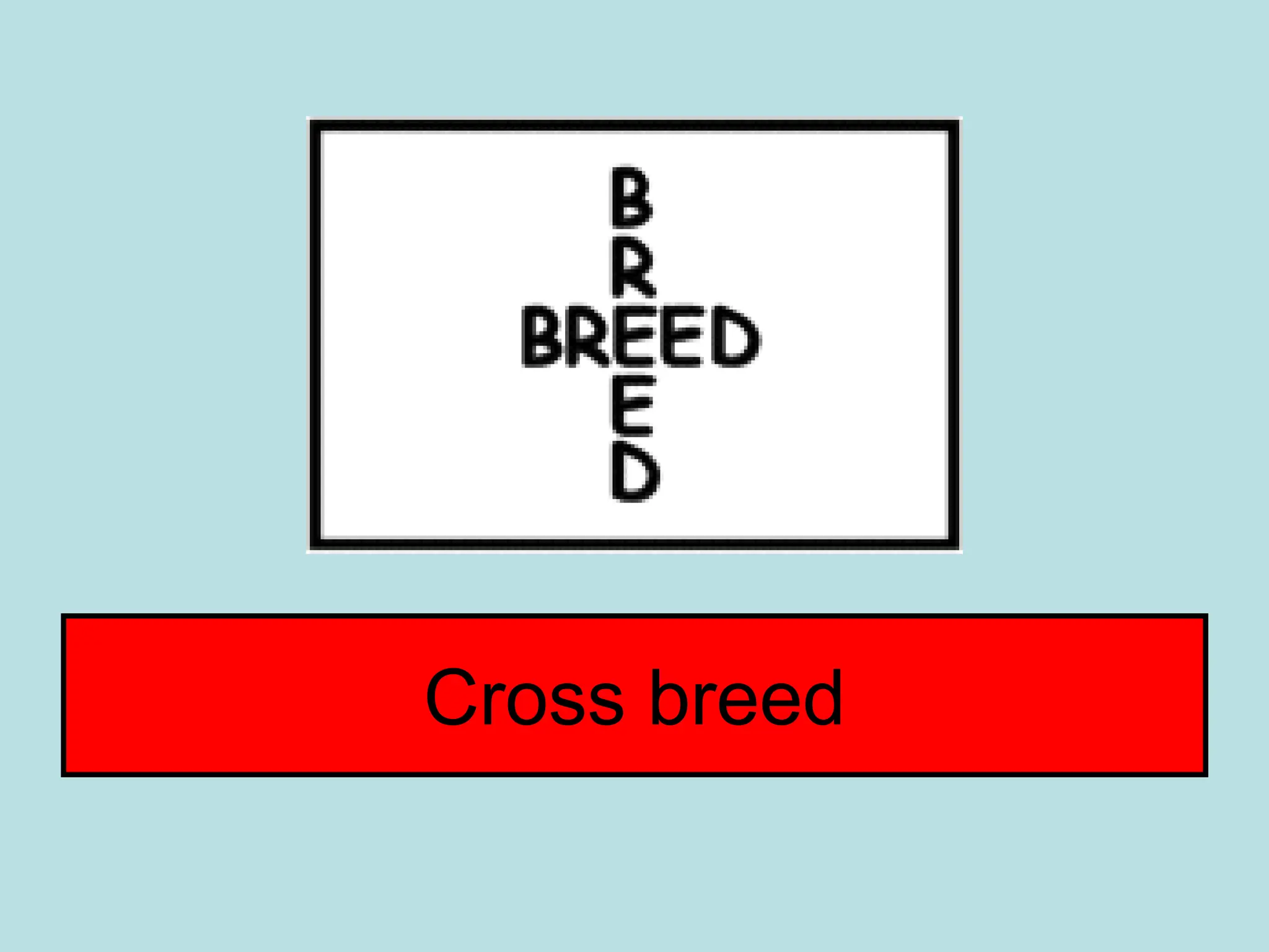 rebus-puzzles_for_highschool_student.ppt