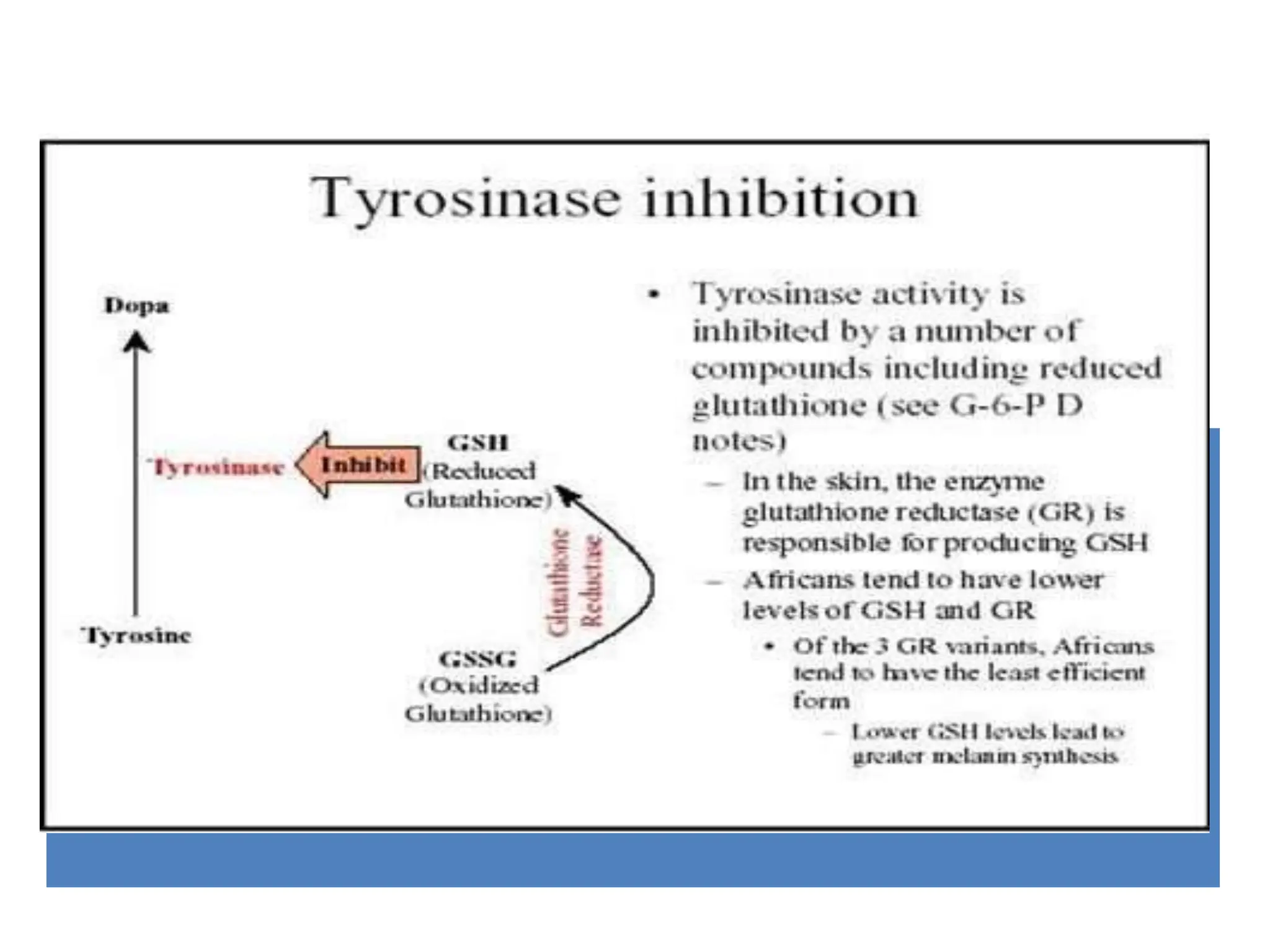RECALCITRANT MELASMA IN DERMATOLOGY TREATMENT | PPT