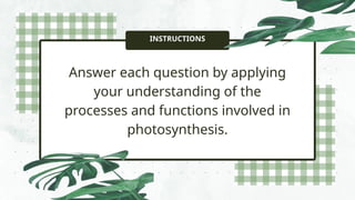 Recap photosynthesis in higher plants.pptx