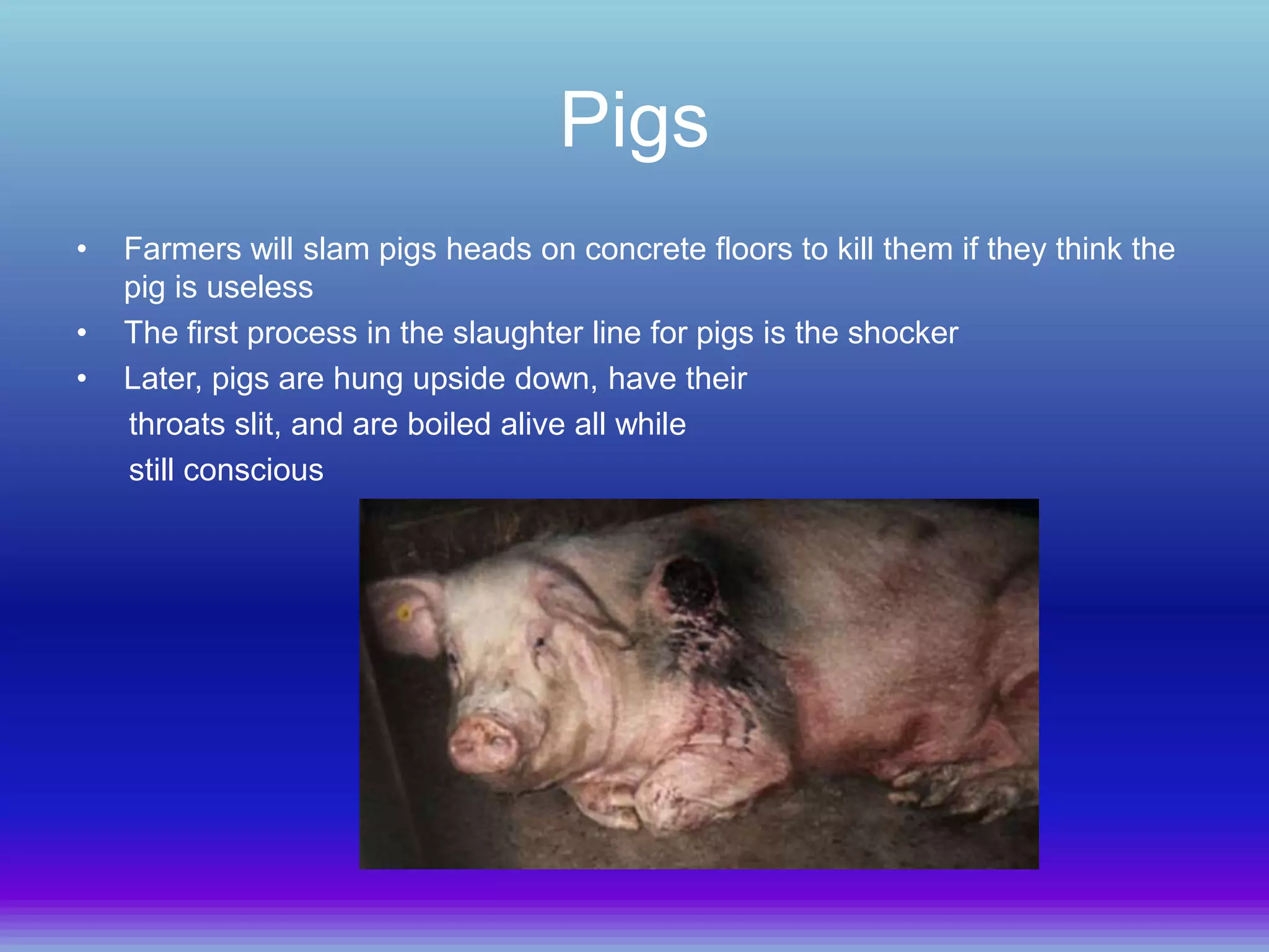 Recast power point | PPTX