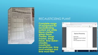 Recausticizing systems | PDF