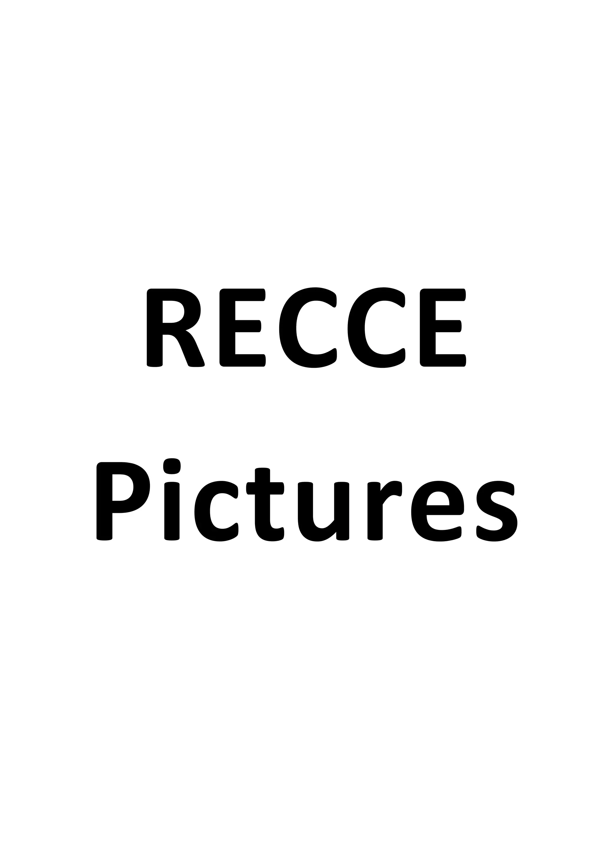Recce pictures | DOCX