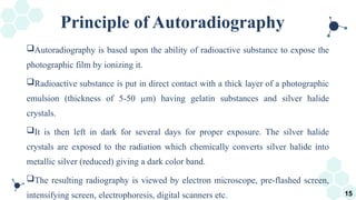 PCR Autoradiography and DNA Sequencing.pptx