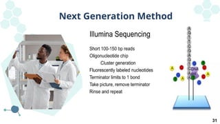 PCR Autoradiography and DNA Sequencing.pptx