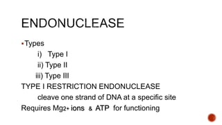 Basics of recombinat DNA technology | PPTX