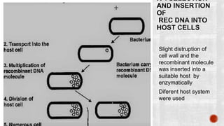 Basics of recombinat DNA technology | PPTX