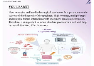 Receiving of surgical specimens | PDF | Surgery | Medical Health