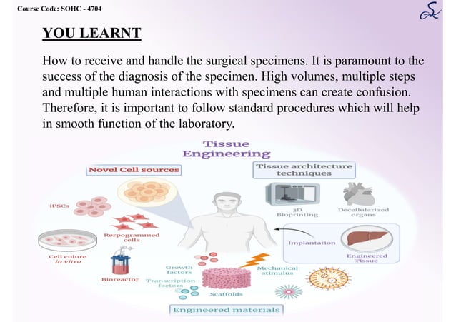 Receiving of surgical specimens | PPT