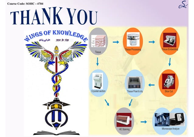 Receiving of surgical specimens | PDF | Surgery | Medical Health