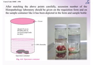 Receiving of surgical specimens | PDF | Surgery | Medical Health