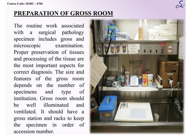 Receiving of surgical specimens | PDF | Surgery | Medical Health