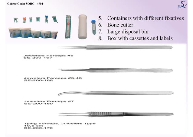 Receiving of surgical specimens | PDF | Surgery | Medical Health