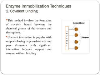 Recent Advancement in Enzyme Immobilization [Autosaved].pptx