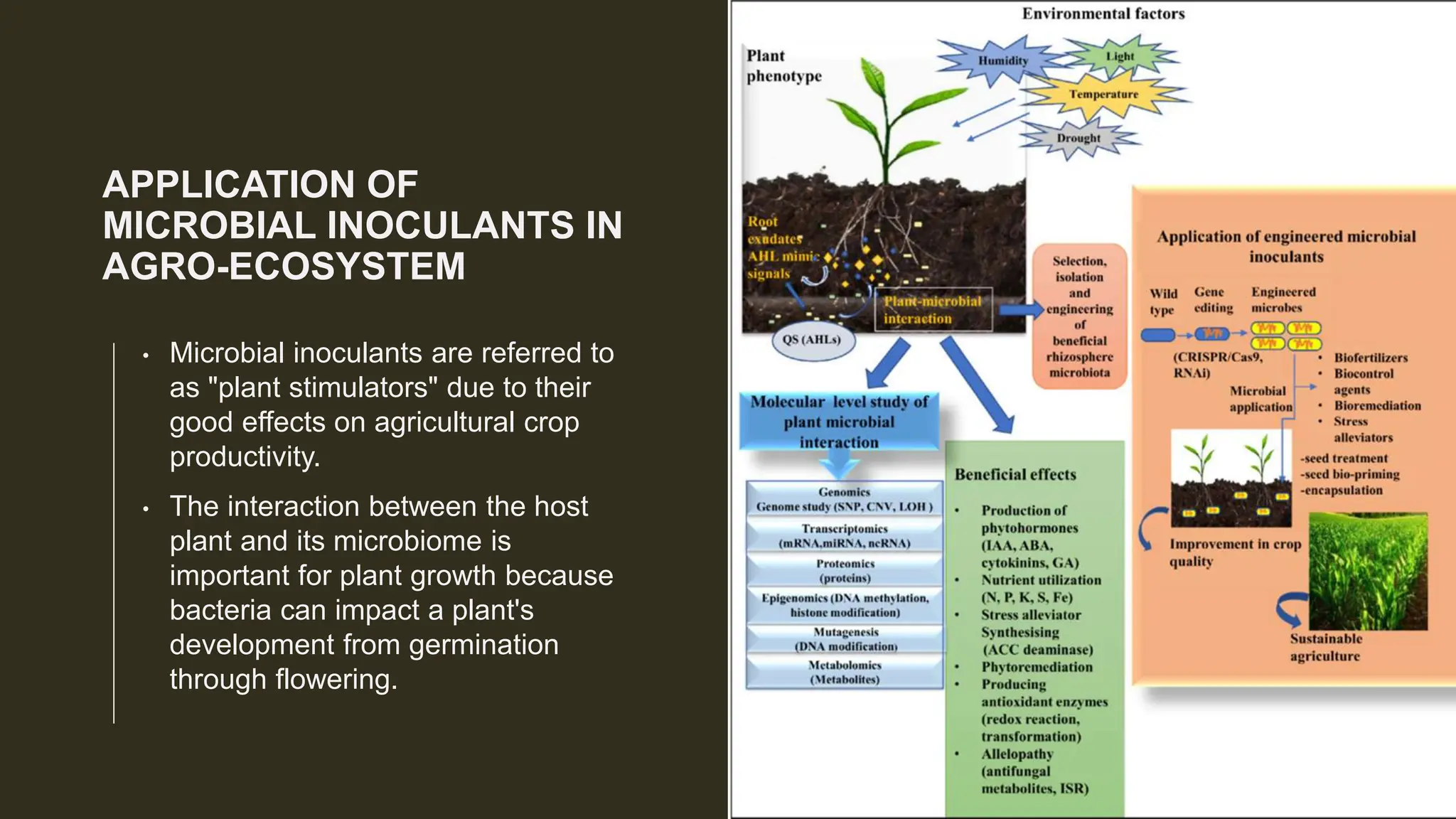 RECENT ADVANCEMENT IN GENETICALLY ENGINEERED MICROBES TO IMPROVE SOIL ...