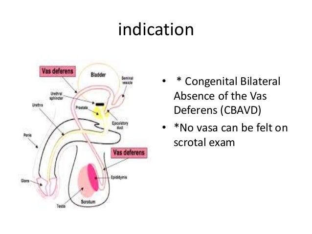 Recent advancement in infertility final ppt
