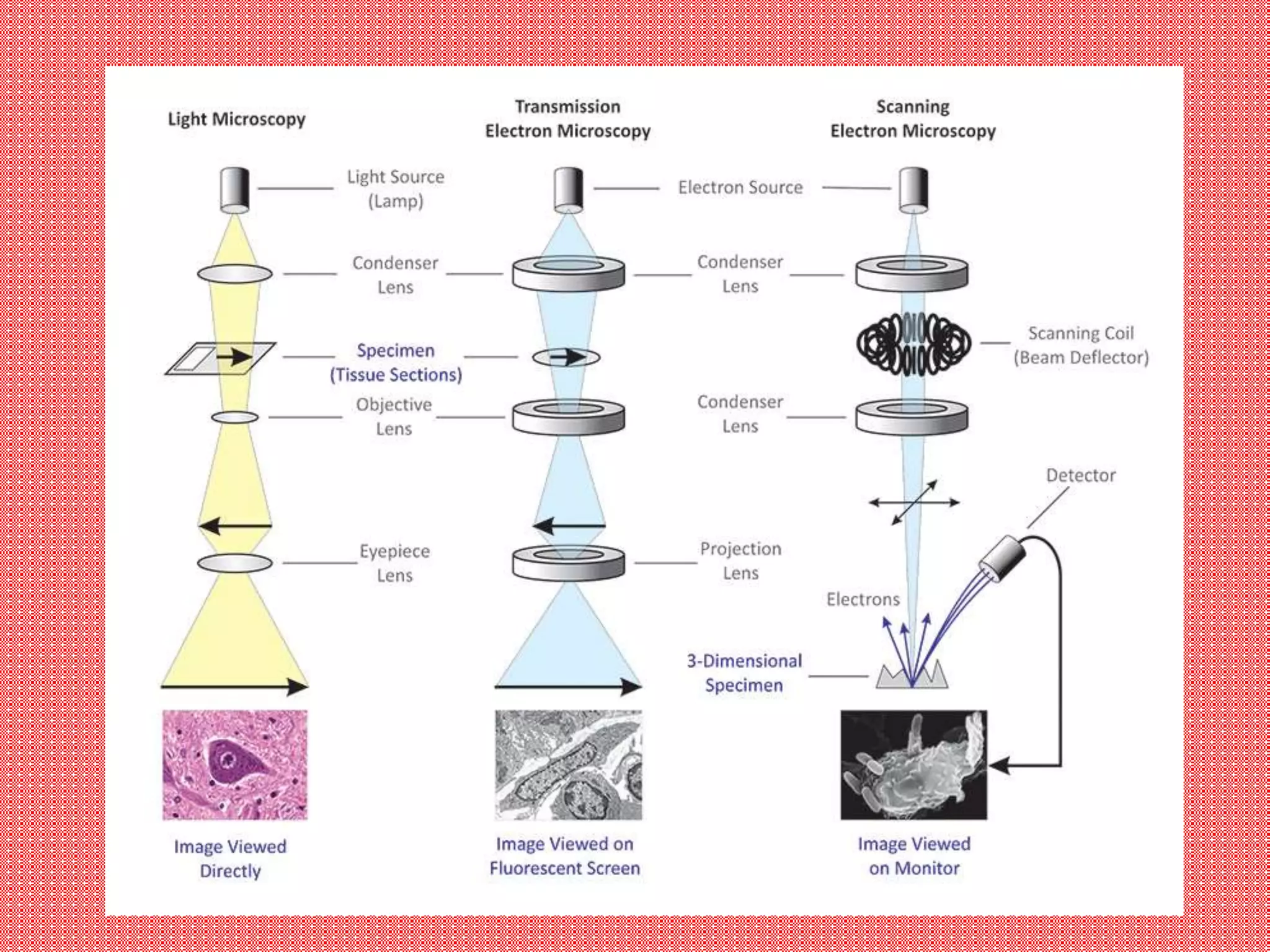 Recent advancement in microscopic techniques cryoem and super | PPTX