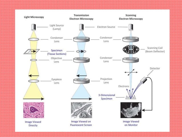 Recent advancement in microscopic techniques cryoem and super | PPTX