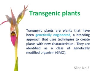 Recent Advances in Transgenic Orchid Production | PPTX