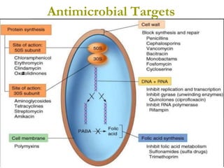 Recent advances antibiotics.ppt s.pdf