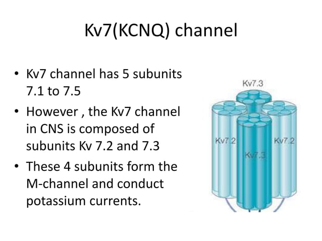 Recent advances epilepsy | PPT