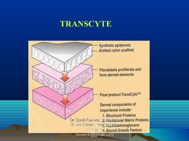 Recent advances in burns management by Dr. Sunil Keswani, National Bu…