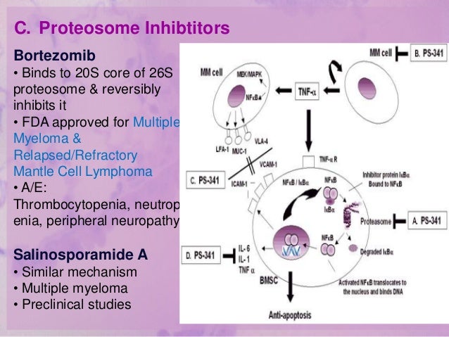 Recent advances in Cancer Chemotherapy
