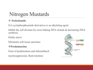 RECENT ADVANCES IN CANCER TREATMENT.pptx