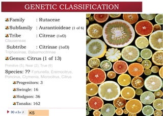 Recent advances in citrus breeding | PPTX