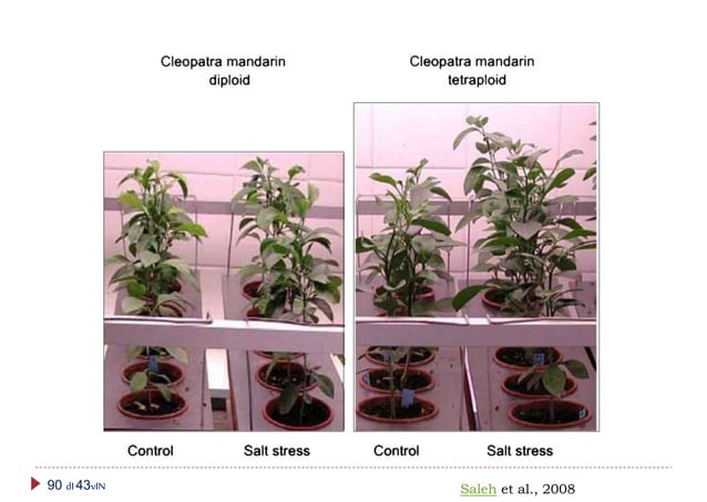 Recent advances in citrus breeding | PPTX | Gardening | Home & Garden